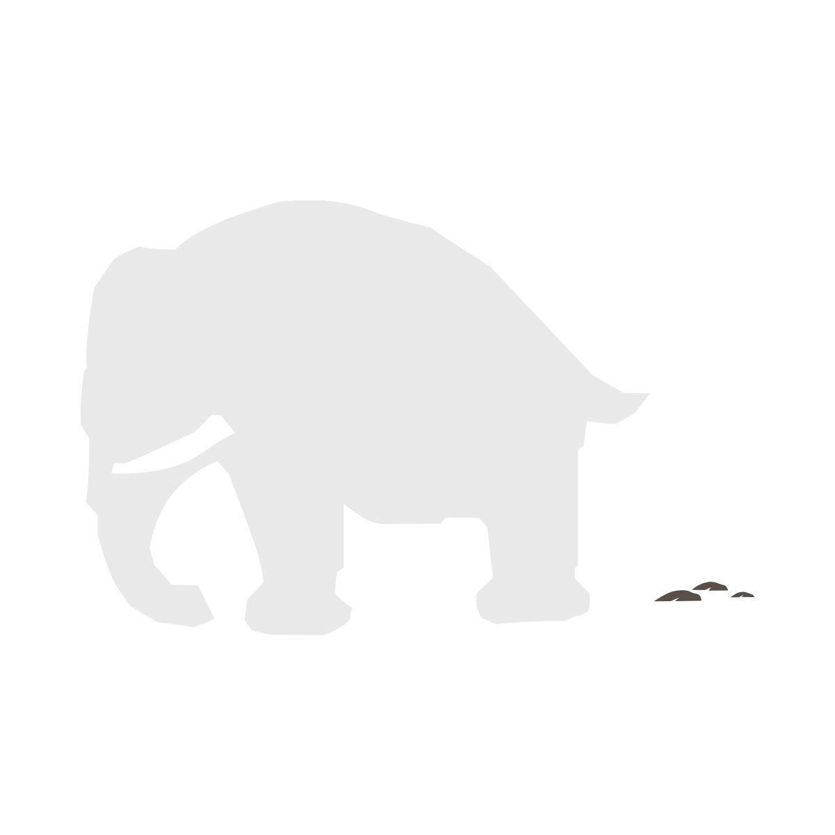 Ecofriendly Products Made From Elephant Poo – POOPOOPAPER™