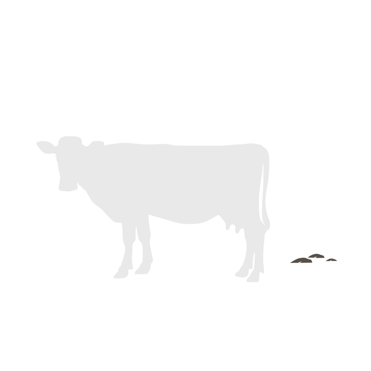 Sustainable Gifts Made From Odorless Animal Poo – POOPOOPAPER™