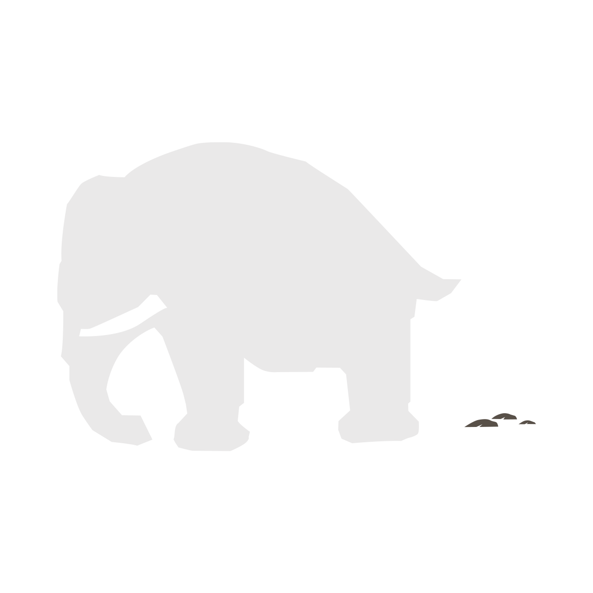 Eco-friendly Gifts Made From Elephant Poop – POOPOOPAPER™