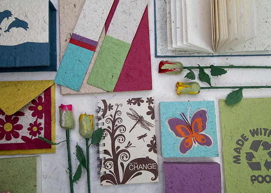 The POOPOOPAPER Poop to Paper Process – POOPOOPAPER™