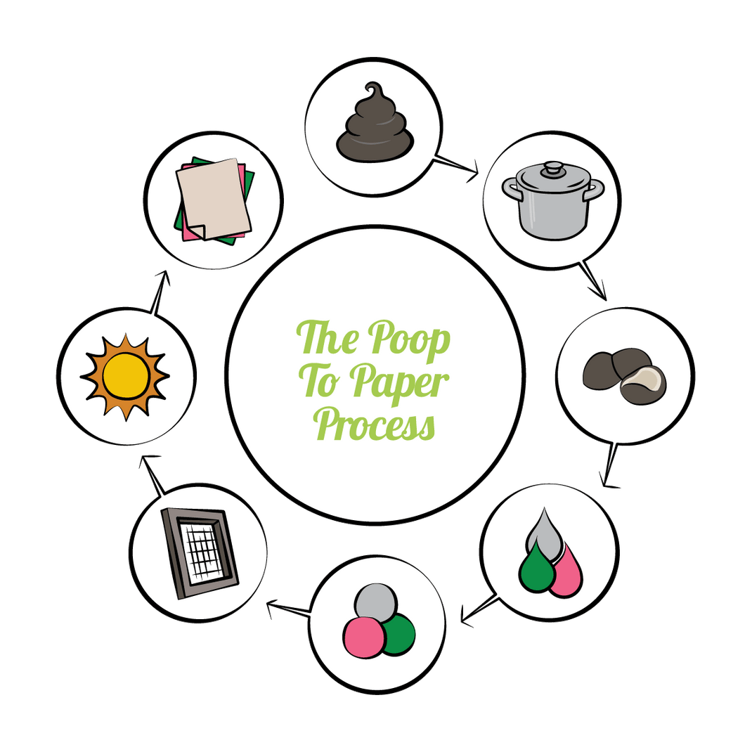 The POOPOOPAPER Poop to Paper Process – POOPOOPAPER™