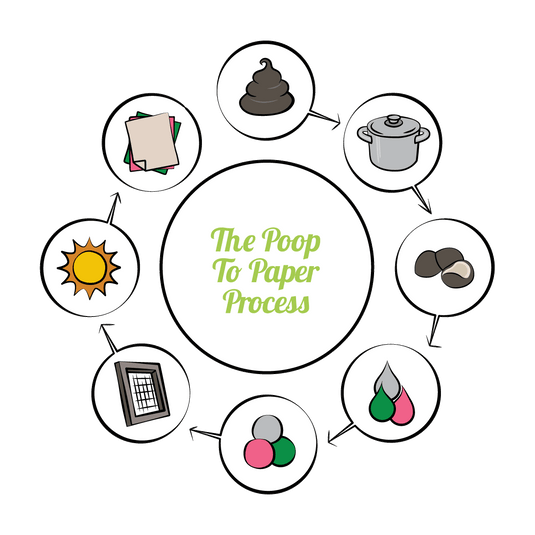 The POOPOOPAPER Poop to Paper Process – POOPOOPAPER™