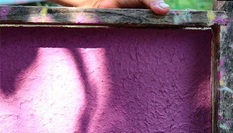 The POOPOOPAPER Poop to Paper Process – POOPOOPAPER™