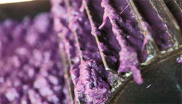 The POOPOOPAPER Poop to Paper Process – POOPOOPAPER™