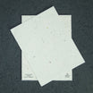 A4 Elephant POOPOOPAPER Handmade Paper Sheets — POOPOOPAPER™