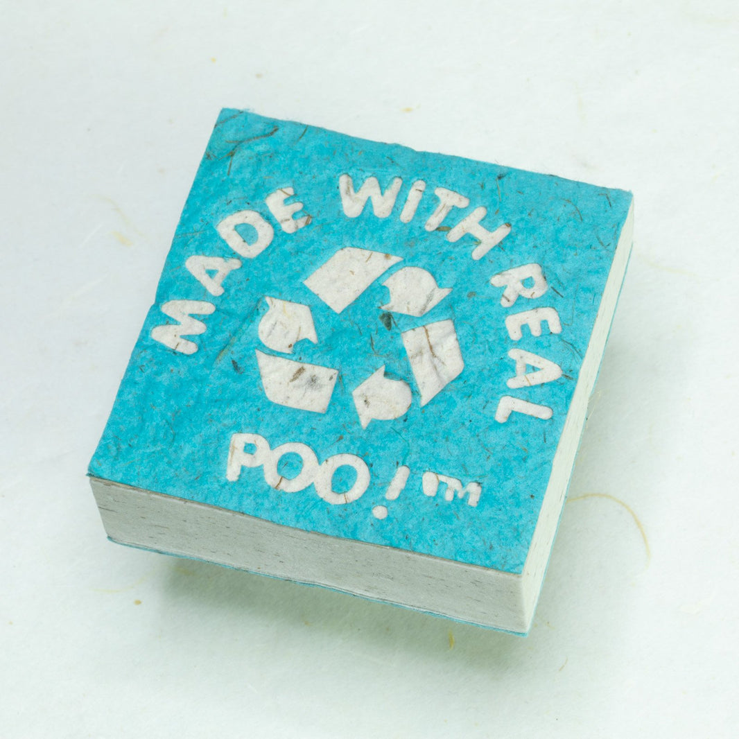 Ecofriendly Products Made From Horse Poo – POOPOOPAPER™